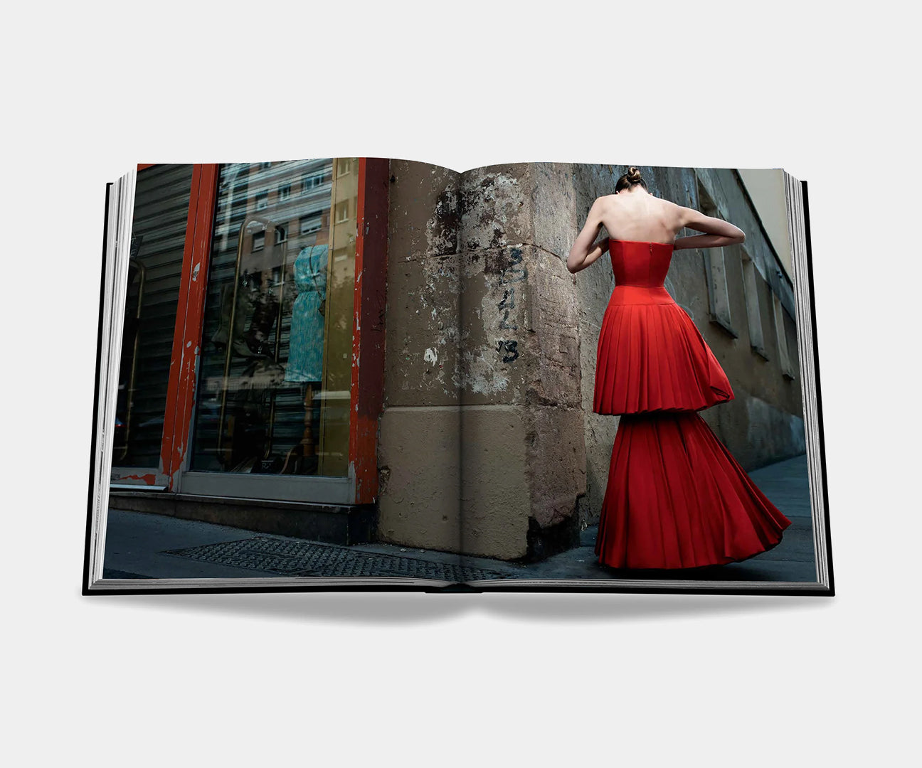 Dior by Raf Simons: The Dior Series Luxury Fashion Coffee Table Book ...